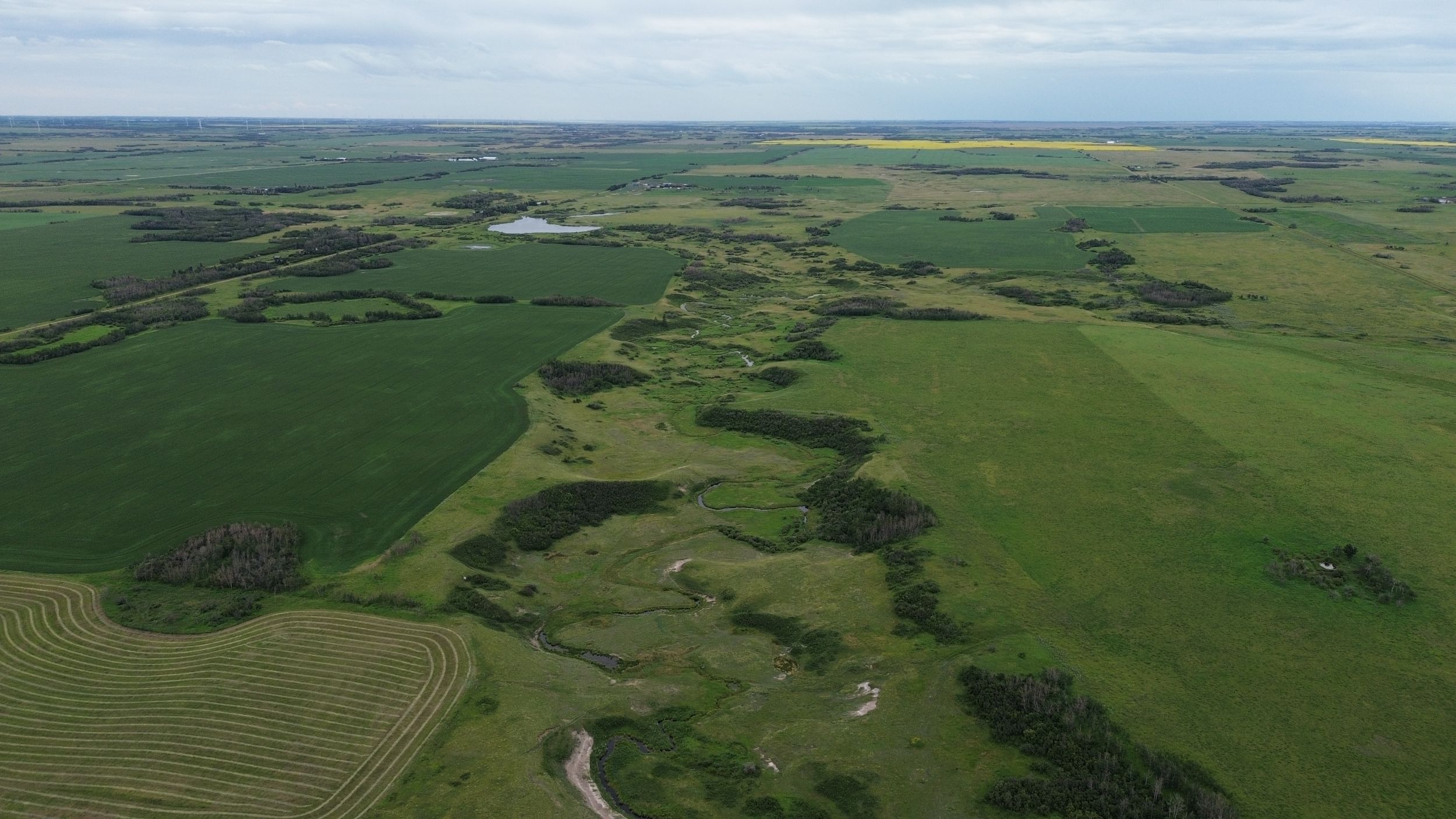 Oil & Gas Site Reclamation Contractor Alberta | Terra-Sano